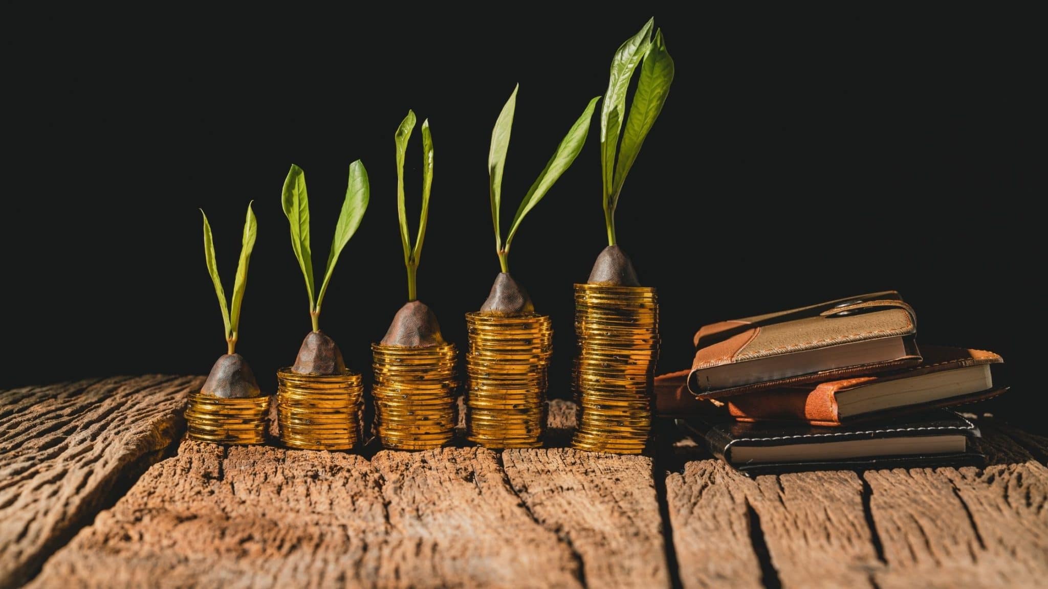 Reich werden - 4 einfache Schritte zum Reichtum - OnGrowth